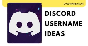 500+ Discord Username Ideas: Cool And Catchy